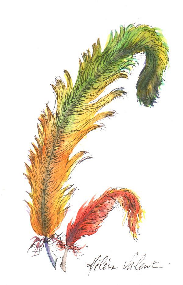 Apprendre l'aquarelle : Hélène Valentin vous explique le fonctionnemet ...